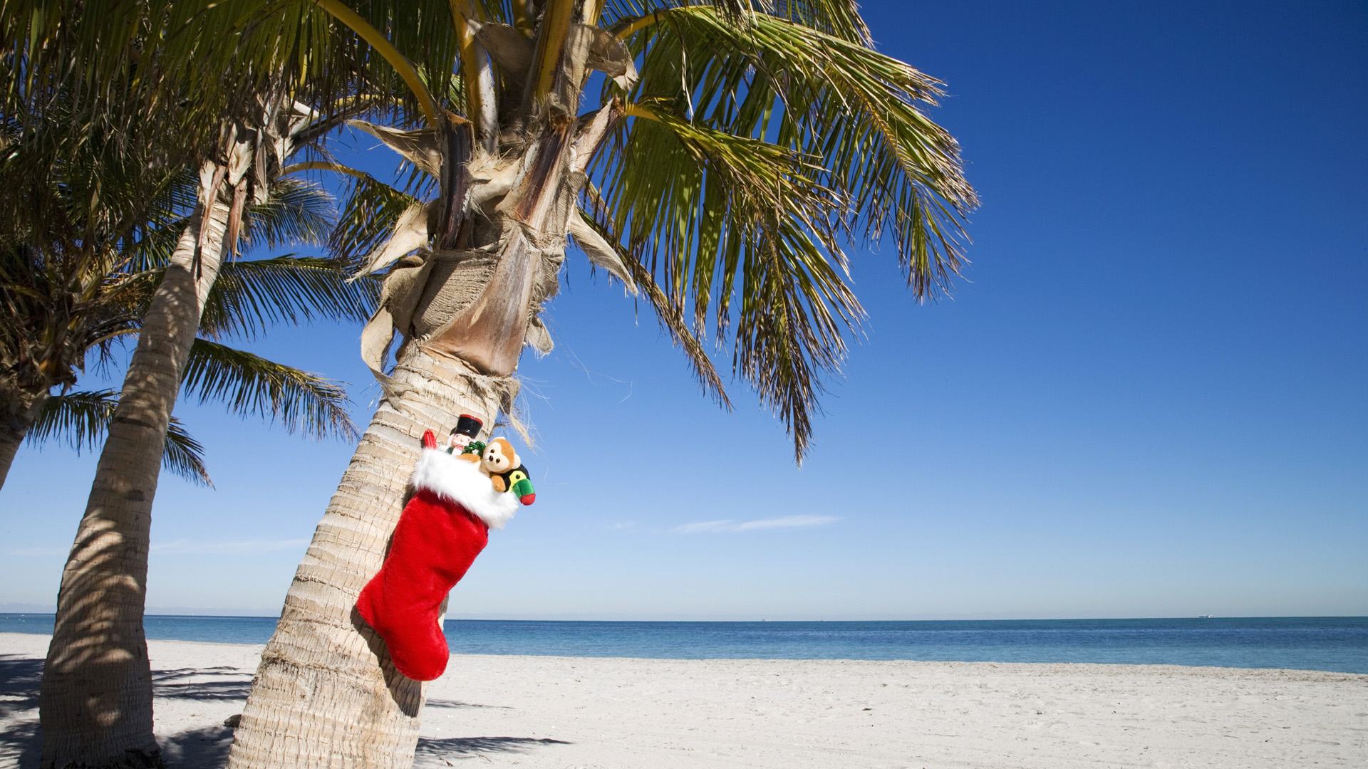 Aruba’s Holiday Season - Celebrate the Aruban Way! | Visit Aruba Blog