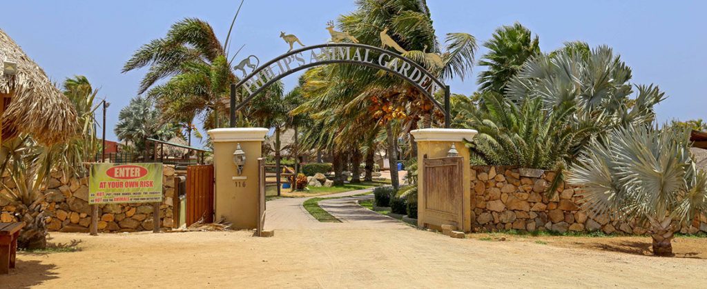 Part 3: Things to Do in Aruba (R to Z) | Visit Aruba Blog