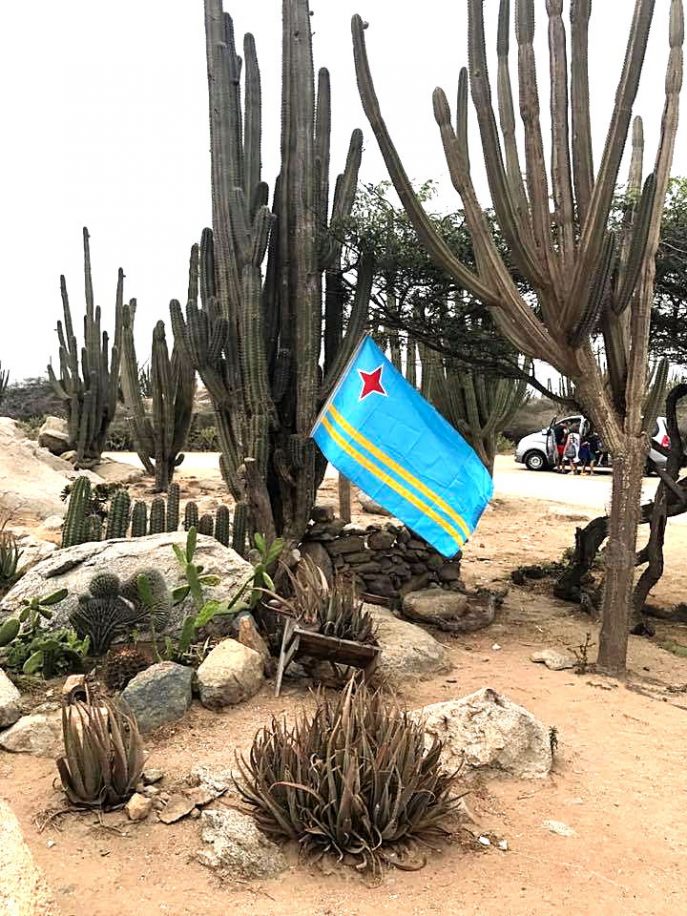 Aruba Pride: the Aruban Flag and its Symbolic Meaning | Visit Aruba Blog