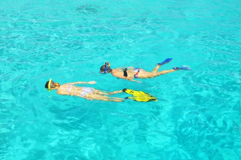 Aruba’s Chasing Coral Event: A Campaign to Save Our Coral Reefs and ...