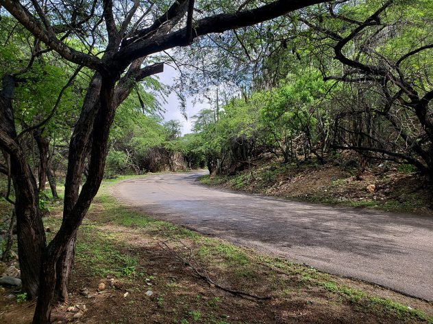 Haunted Aruba | Visit Aruba Blog