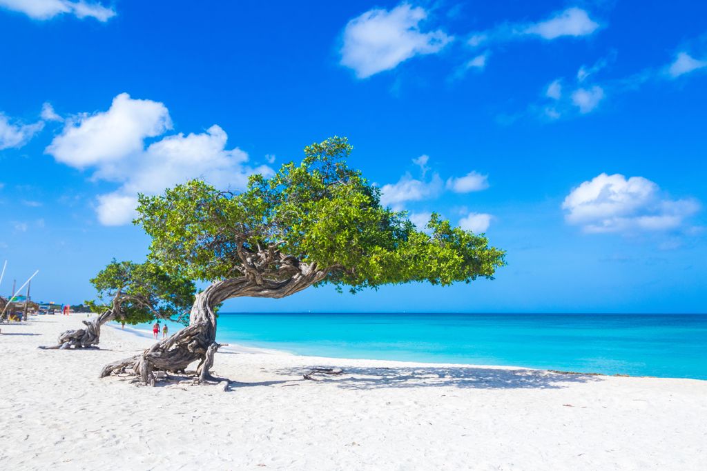 Authentic Aruba: One Artistic Island | Visit Aruba Blog