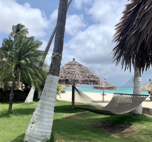 Best Insta-worthy Photo Op Locations in Aruba | Visit Aruba Blog
