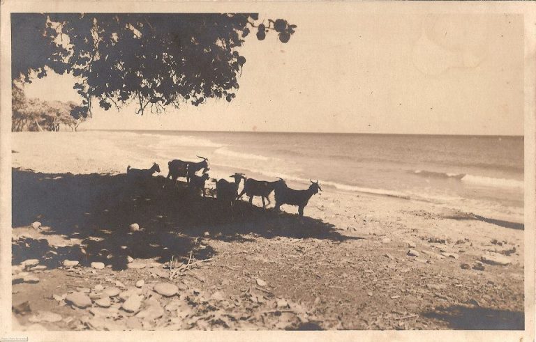 A Look Back at the Old Aruba | Visit Aruba Blog