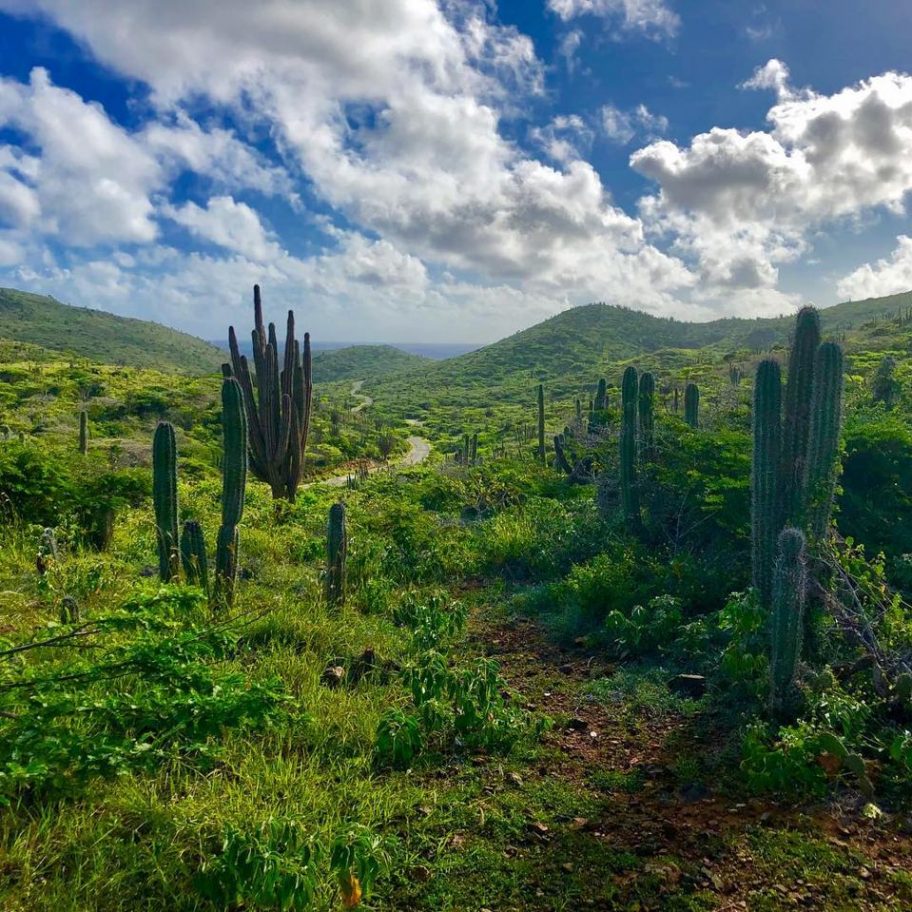 Top 3 Hiking Spots in Aruba | Visit Aruba Blog