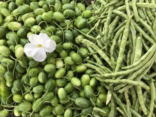 Fresh Produce is Springing up in Aruba | Visit Aruba Blog