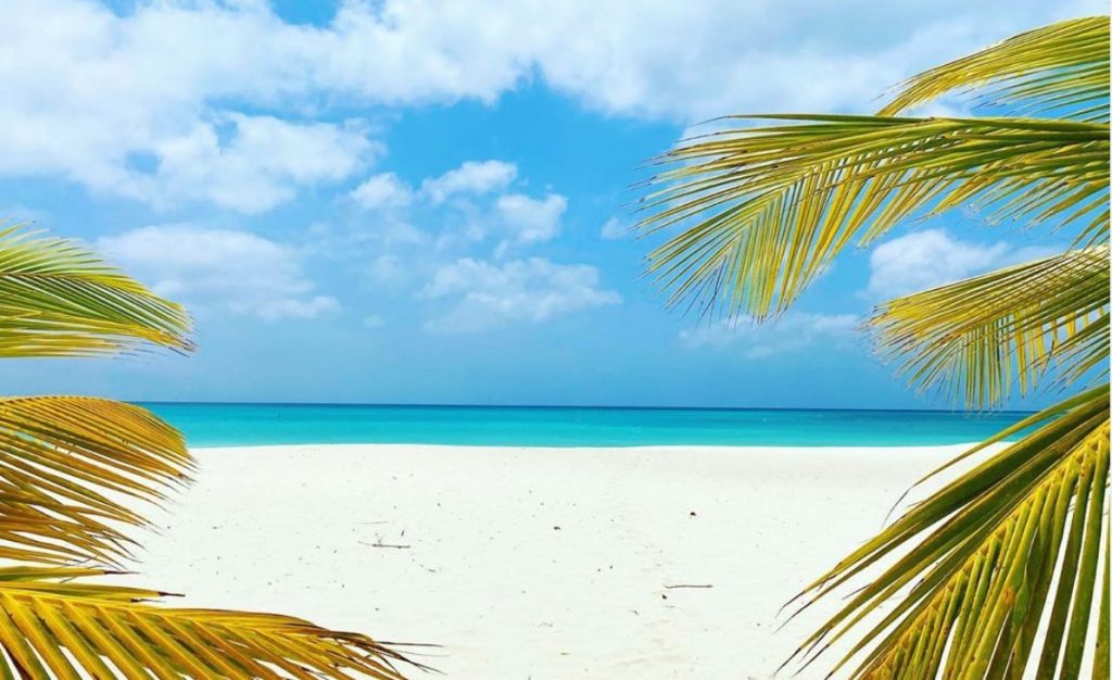 Turn Your Remote Work Into a Workation in Aruba | Visit Aruba Blog