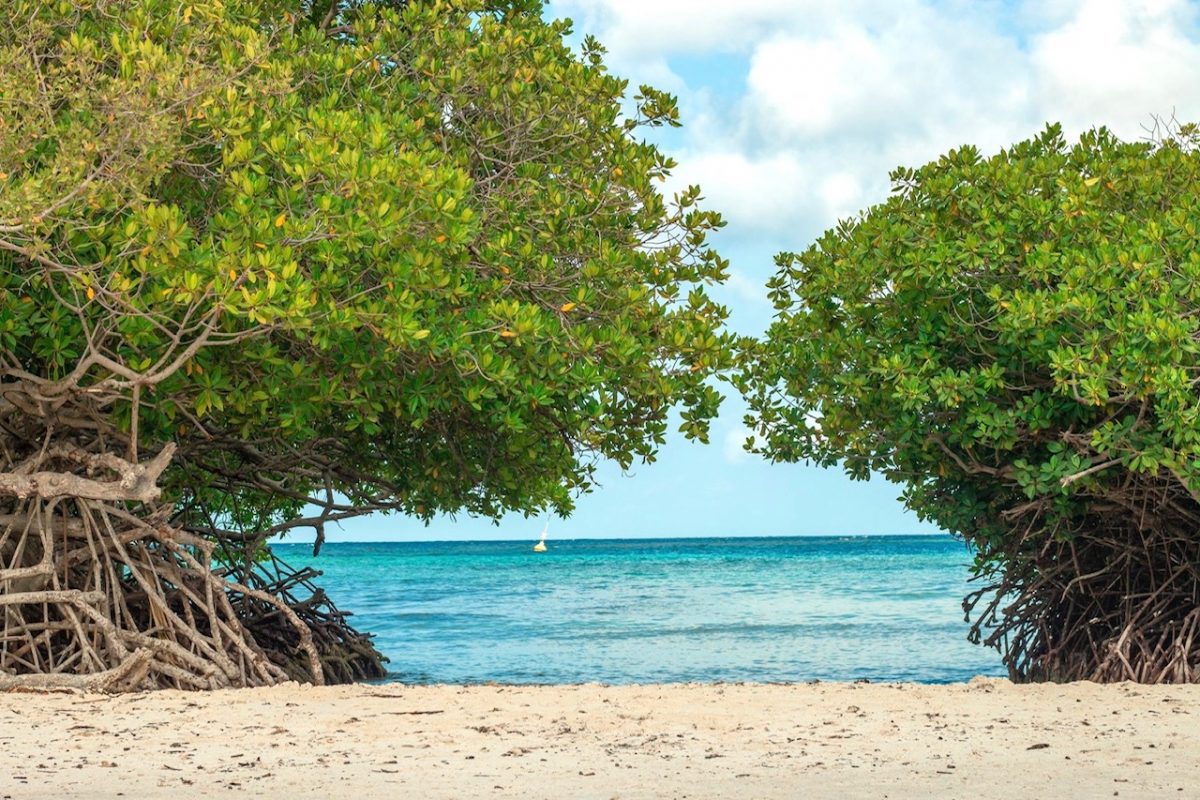 Let's Go Virtual Beach Hopping in Aruba | Visit Aruba Blog