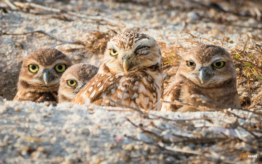 Nature Hike in Aruba's Arikok National Park | Visit Aruba Blog