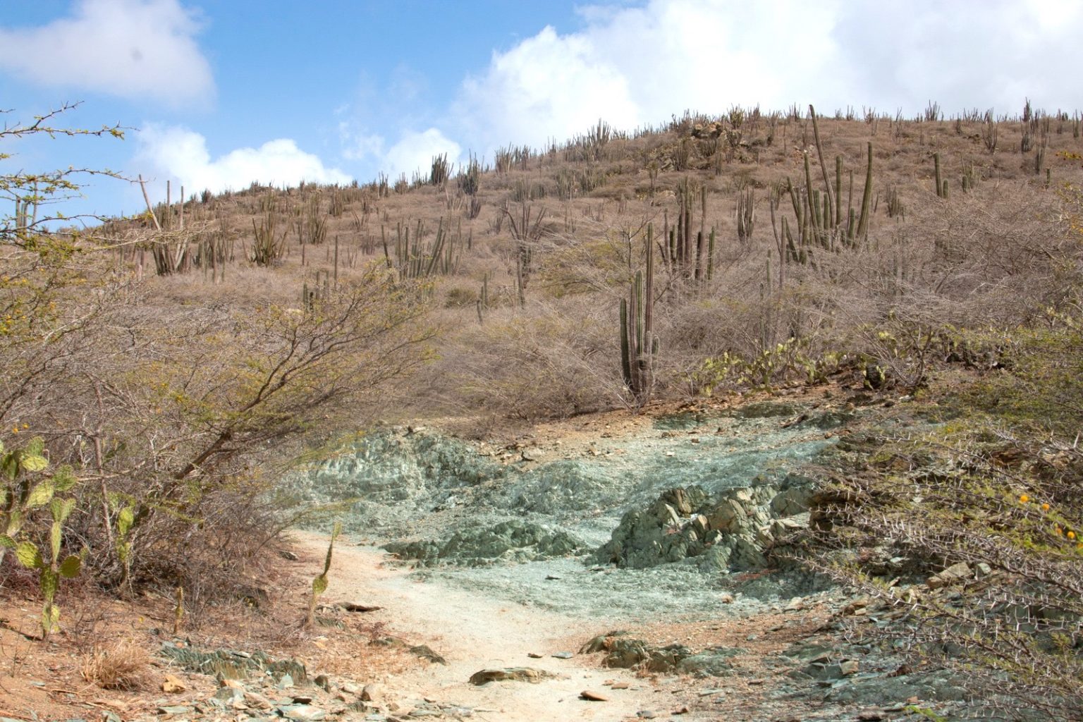 Nature Hike in Aruba's Arikok National Park | Visit Aruba Blog