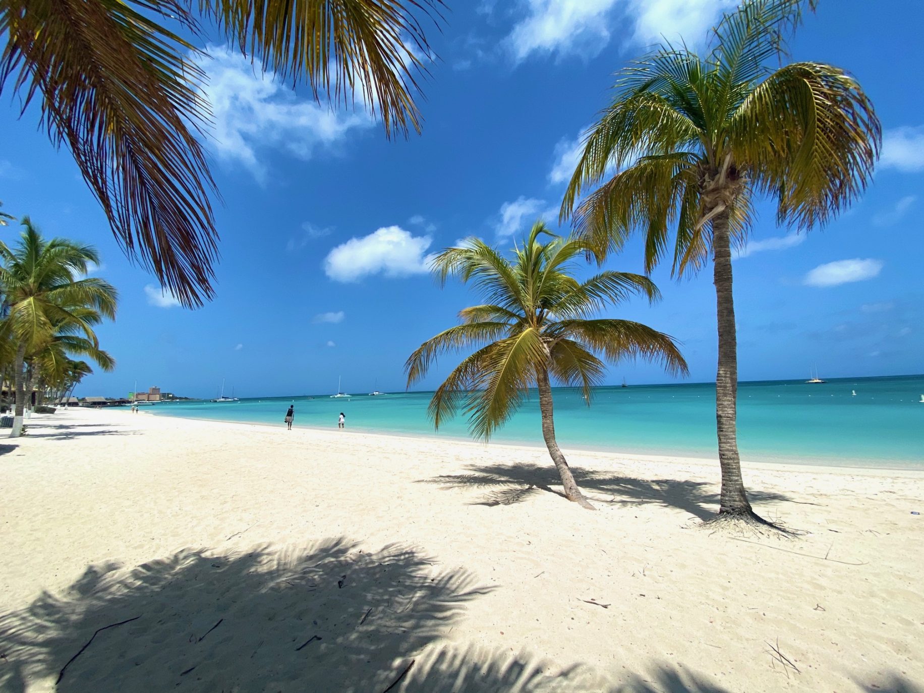 Aruba Weather by Month: The Only Guide You Need to Plan Your Trip ...