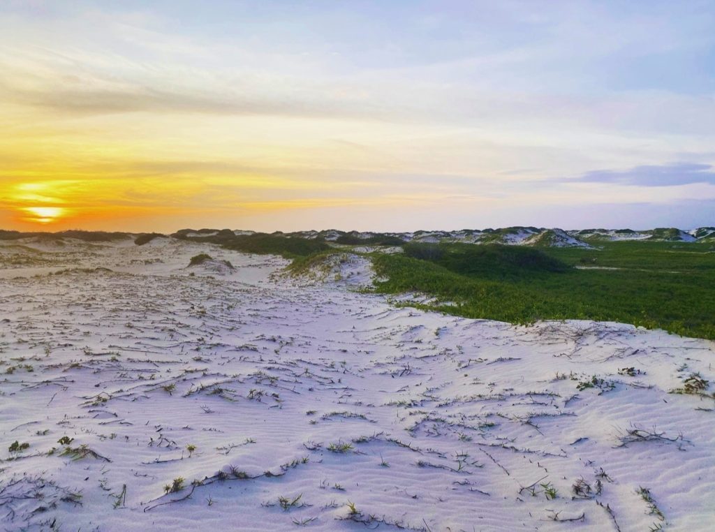 12 Wild and Beautiful Sights to See in Aruba | Visit Aruba Blog