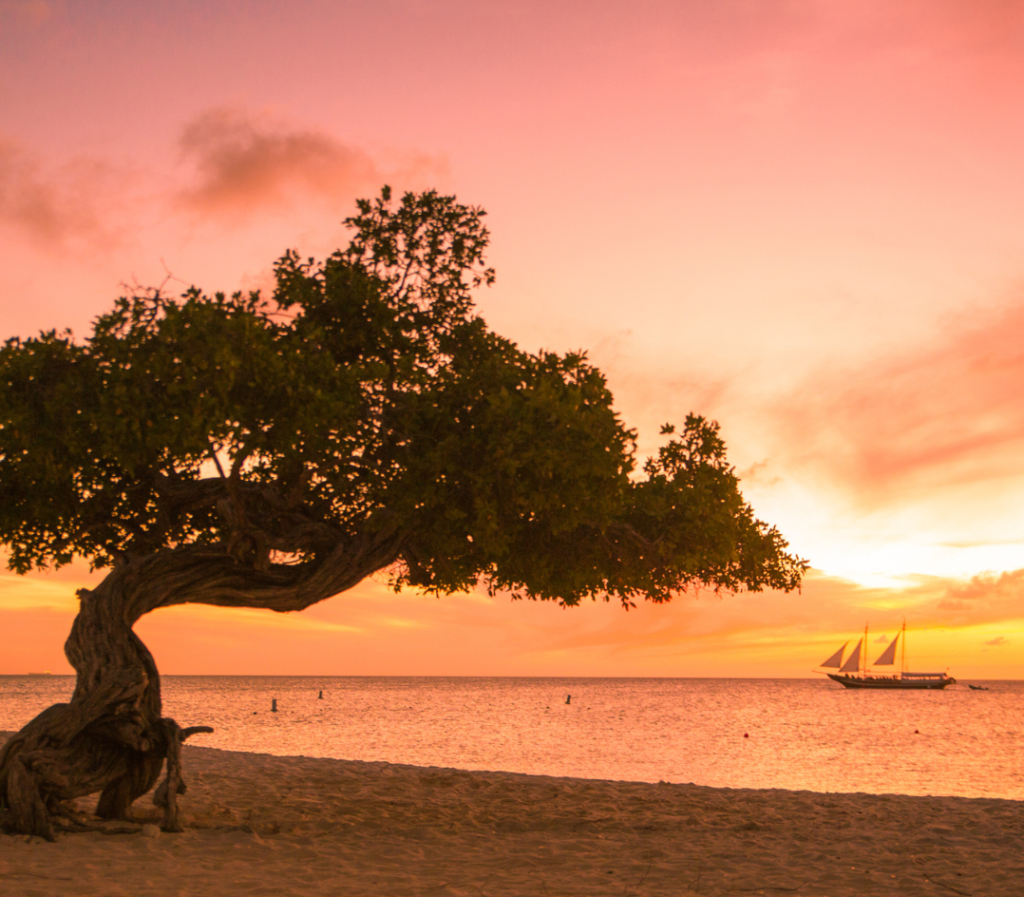 Best Sunset Spots in Aruba | Visit Aruba Blog