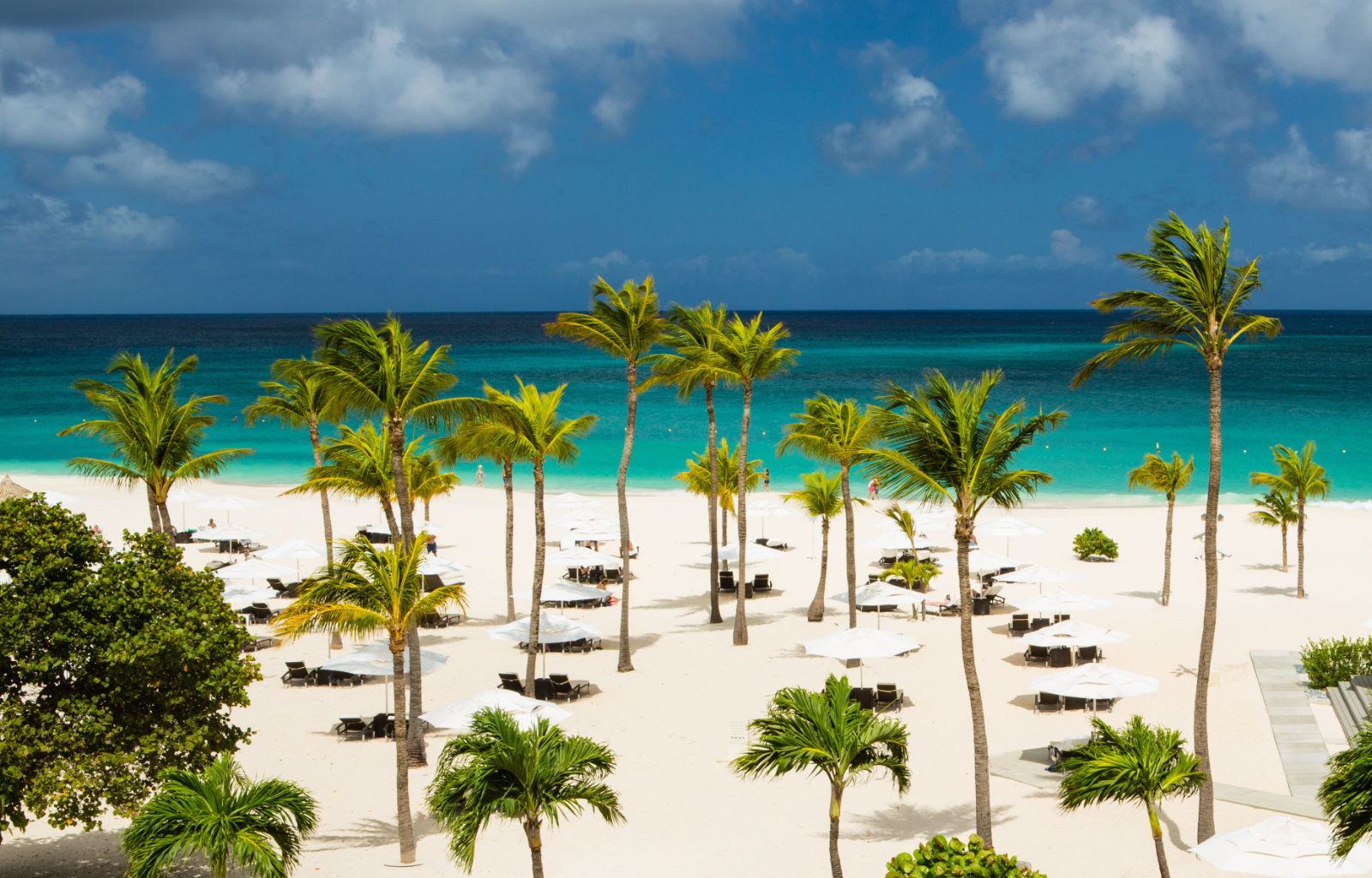 Aruba Hotels, resorts, apartments, timeshare and other accommodations ...