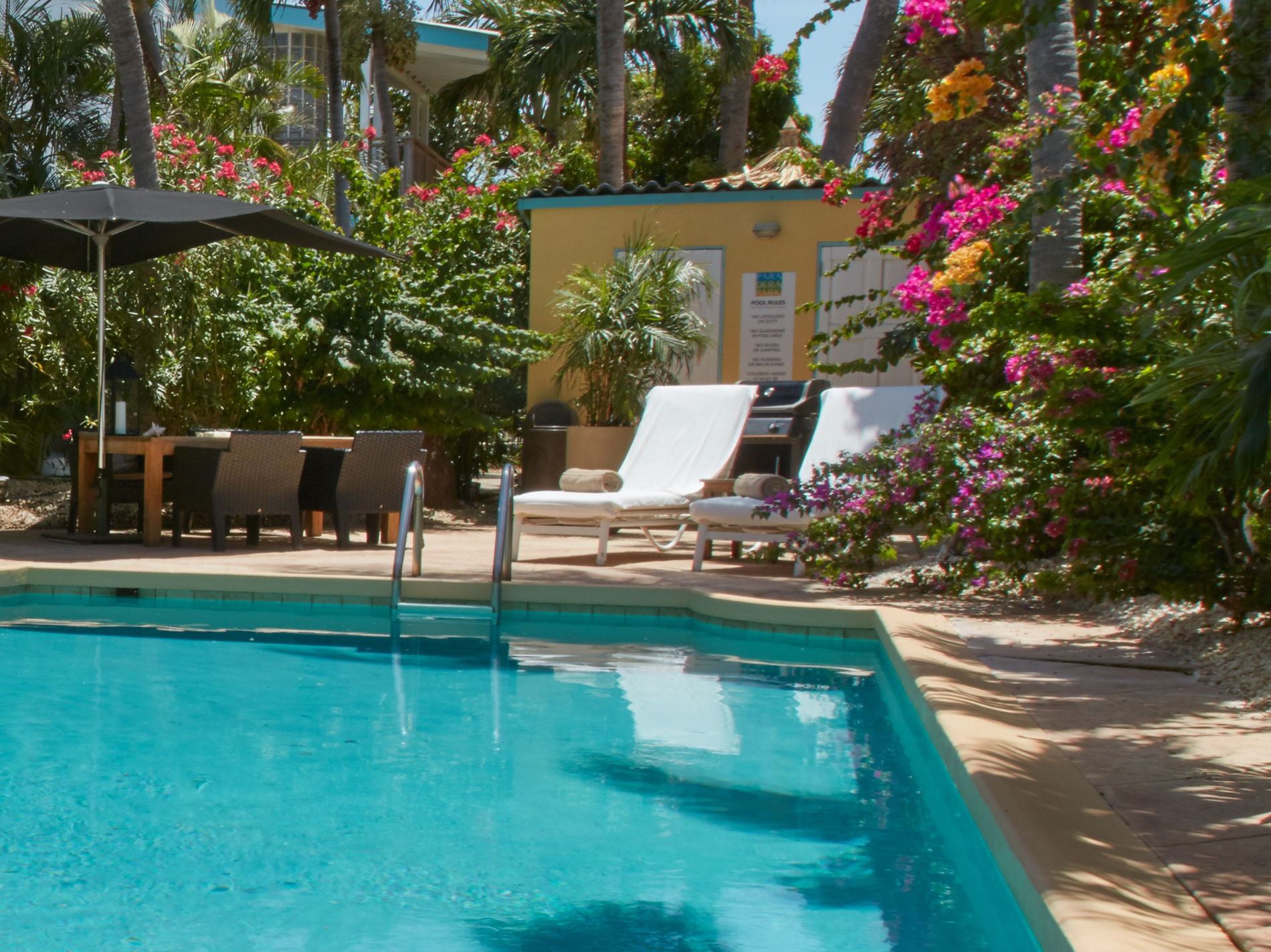 Aruba - Paradera Park - VisitAruba.com