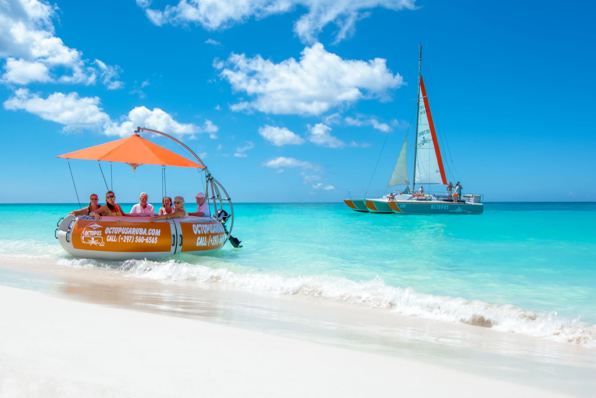 Octopus Sailing Aruba Visitaruba