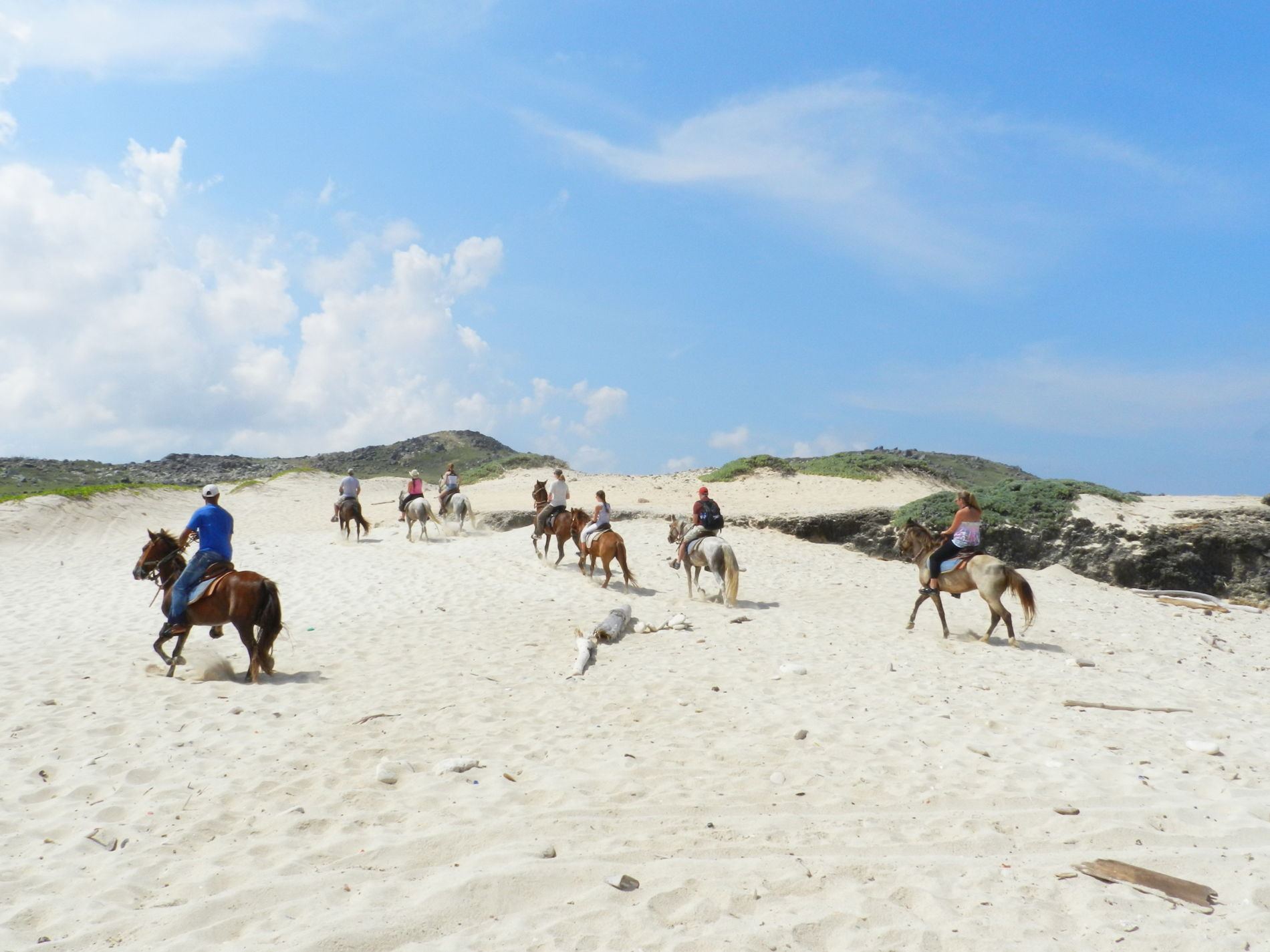 Aruba Horseback Riding - horse riding tours - VisitAruba.com