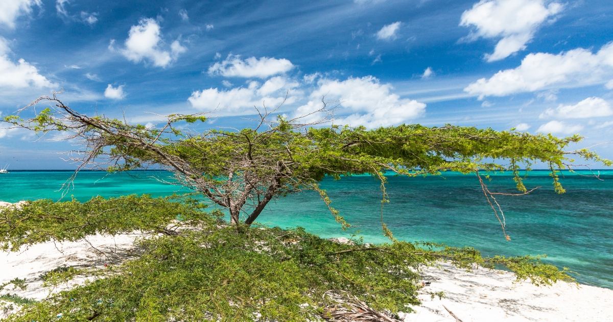 VisitAruba.com - About Aruba