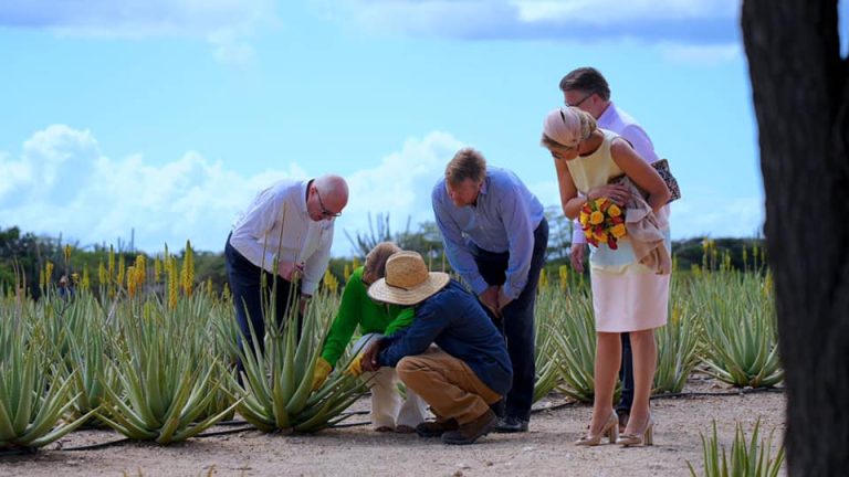 Dutch royal family visits Aruba during their tour of the Dutch ...