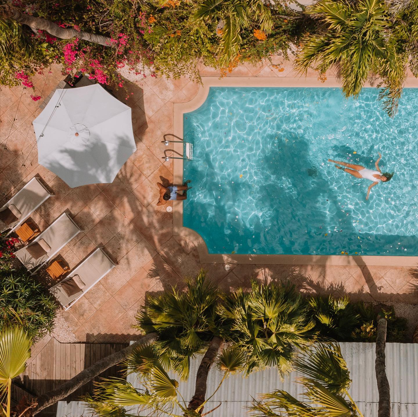 Paradera Park Aruba Celebrating 30 Years of Hospitality | VisitAruba News