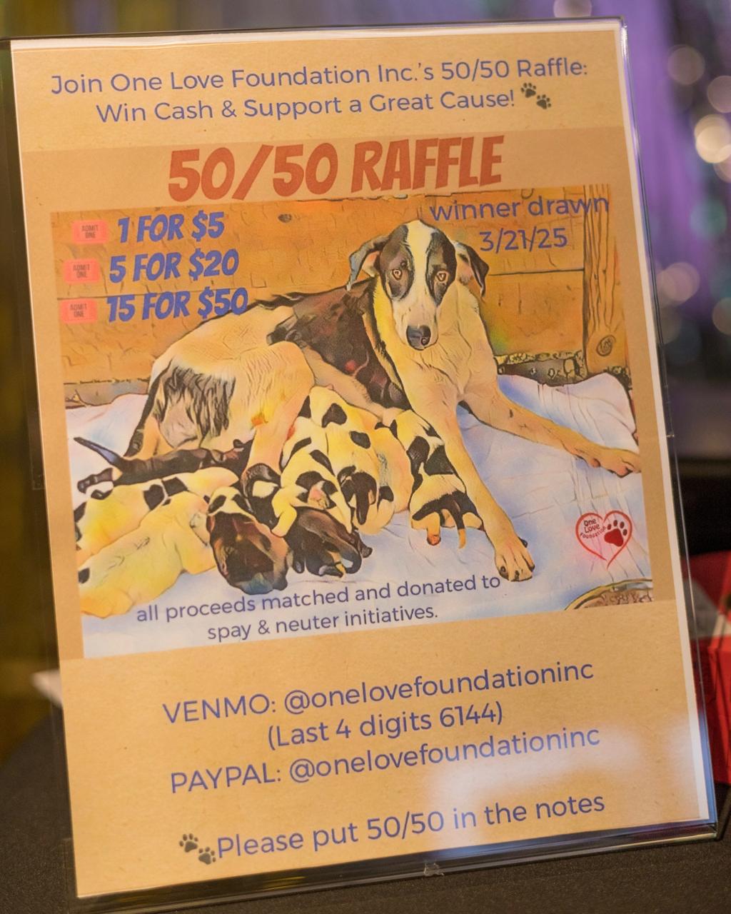 Aruba Comedy Benefit Raises $40K for Stimami Sterilisami – Hosted by ...